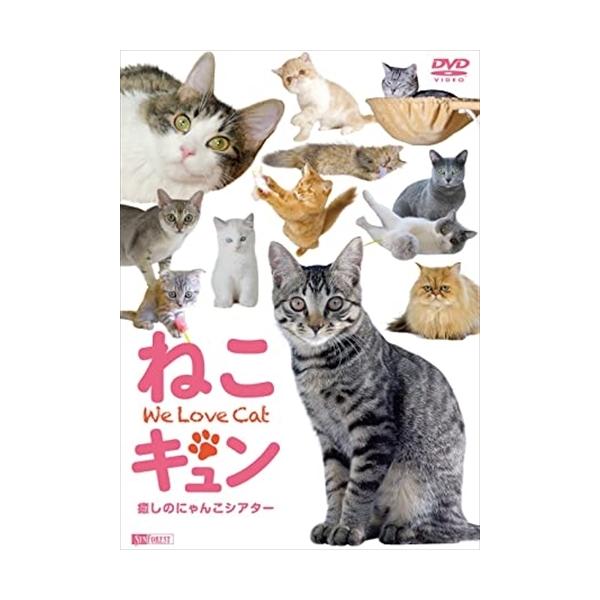 ★最安値に挑戦！迅速配送！★※商品により本社倉庫、第二倉庫、メーカー在庫に分かれます。納期遅れる場合もございます。リビングを猫カフェに―心温まる「癒しの12猫種」を収録した「にゃんこ映像集」誕生!＜仕様＞DVDEAN : 494597720...