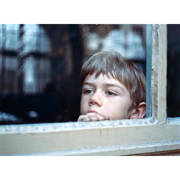 【発売日：2026年04月24日】魔法のような奇跡の映像が美しい夢のひと時へと誘う！