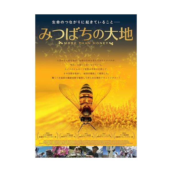 ★最安値に挑戦！迅速配送！★※商品により本社倉庫、第二倉庫、メーカー在庫に分かれます。納期遅れる場合もございます。※発売日後のお届けとなる場合もございます。＜仕様＞DVD＜収録内容＞アスペクト比:1.78:1監督:マークス・イムホーフメディ...