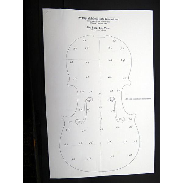 Average 「del Gesu」Plate GraduationsTop Plate,Top View &amp; Back Plate,Top View表板・裏板とも、板の表面からみた図面です。