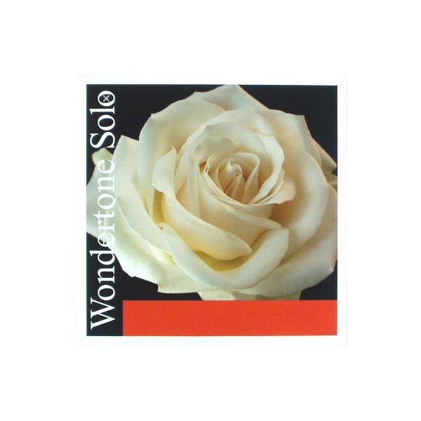 ピラストロ社 バイオリン弦E線ワンダートーン・ソロ:シルバリースチール仕様