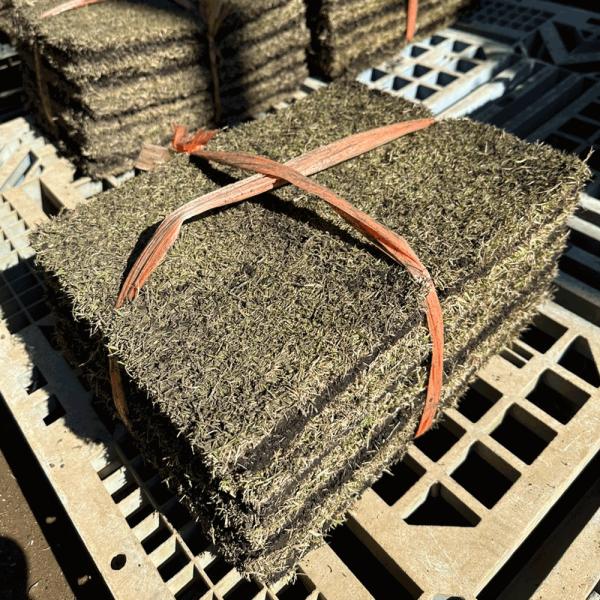 1枚のサイズは縦37.1cm、横30cm、9枚1組で1束です。TM9は、草丈が一般高麗芝の半分以下のため、芝刈り回数が大幅に低減できるのが特徴です。芝刈り回数が少ないため、施肥量を低減できます。節間が短いため、繊細なターフを形成します。