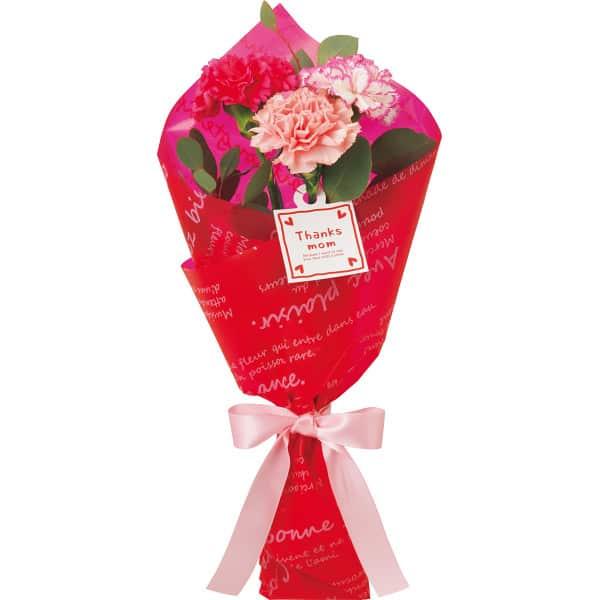 ・この商品は期間限定商品です（承り期日は05月05日まで）