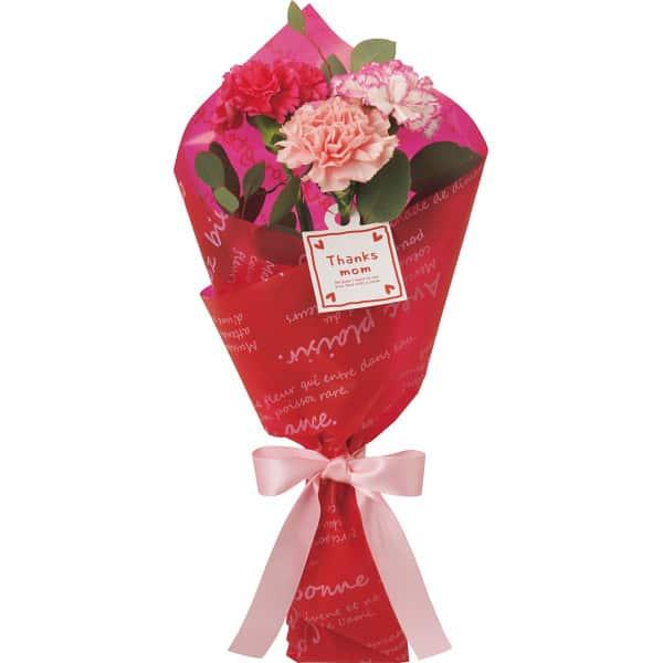 ・この商品は期間限定商品です（承り期日は05月05日まで）