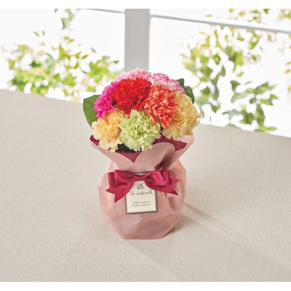 ・この商品は期間限定商品です（承り期日は05月05日まで）