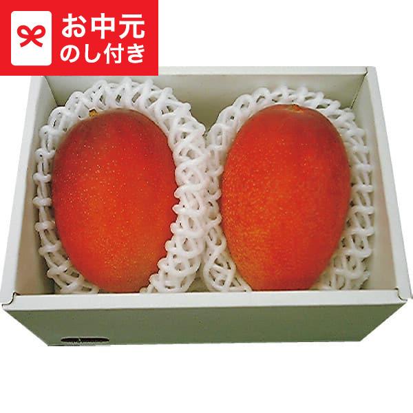 ・この商品は期間限定商品です（承り期日は07月13日まで） 日本で唯一の亜熱帯地域である沖縄で育てた南国のトロピカルフルーツ「マンゴー」。鮮やかなオレンジ色の果肉は強い甘みと濃厚な味わいで人気。国内流通のためギリギリまで熟すのを待ってから収...