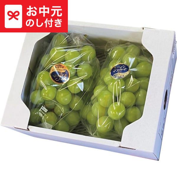 ・この商品は期間限定商品です（承り期日は08月02日まで） フルーツ王国岡山からフルーツの女王シャインマスカットをご案内します。この甘さはもちろんですが、爽やかな風味はまさに果物のクイーンです。大粒＆大房！コレが、岡山県の「ほんまもん」です。