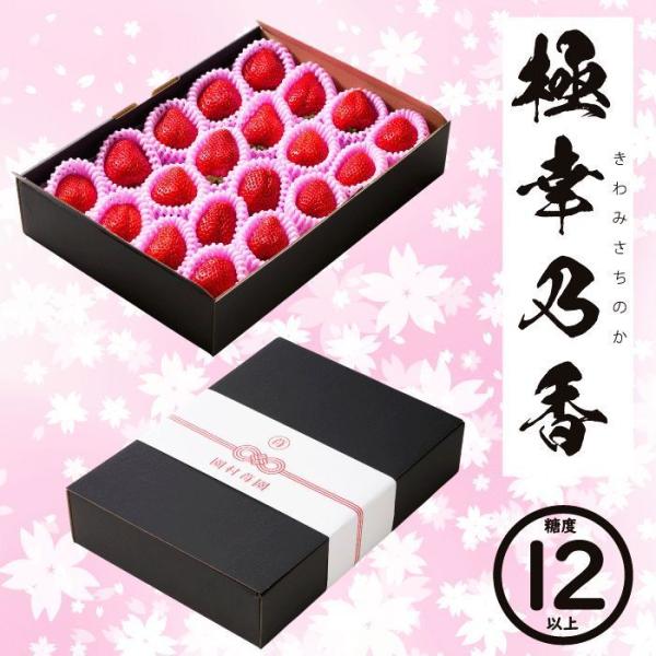 【発売日：2026年02月01日】▼出荷期間　2026/02/01〜2026/04/10　※苺の生育状況により変動する場合がございます。▼内容量　約500g▼品種　さちのか▼糖度　12度以上　※当園の糖度計による計測値基準となります。その点...