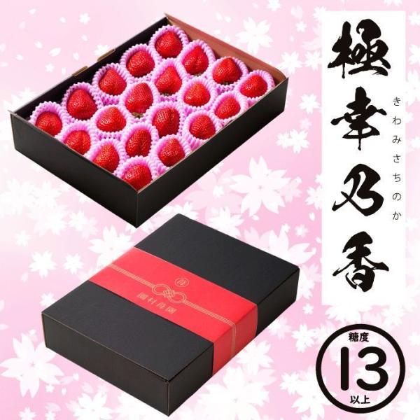 【発売日：2026年02月01日】▼出荷期間　2026/02/01〜2026/04/10　※苺の生育状況により変動する場合がございます。▼内容量　約500g▼品種　さちのか▼糖度　13度以上　※当園の糖度計による計測値基準となります。その点...