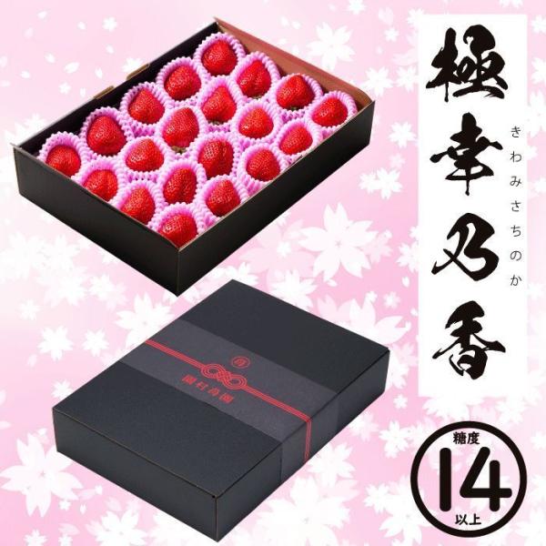 【発売日：2026年02月01日】▼出荷期間　2026/02/01〜2026/04/10　※苺の生育状況により変動する場合がございます。▼内容量　約500g▼品種　さちのか▼糖度　14度以上　※当園の糖度計による計測値基準となります。その点...