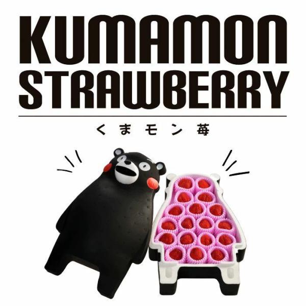 【発売日：2026年02月01日】▼出荷期間　2026/02/01〜2026/04/10　※苺の生育状況により変動する場合がございます。▼内容量　約500g▼品種　さちのか▼発送　収穫次第、ご予約・ご注文の順に発送致します。▼お願い　受取後...