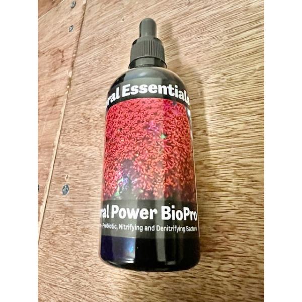 Coral Power BioProは、健全なシステムを維持するためのバクテリアの補充に不可欠です。8種のバクテリアを配合した、生物学的プロセスの修復・改善を促進するプロバイオティクスブレンドです。・泥状の堆積物の減少・水槽のガラス、底砂が...