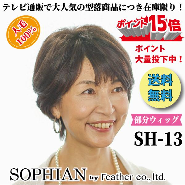 スタイル：ナチュラルスタイル部分ウィッグ毛長：フロント15/トップ15/バック15cmベースサイズ：幅3.5×奥行9cm(弓型ベース)毛質：人毛100％製法：総手植え・オールスキンネット(検索用)アウトレット　部分かつら　部分ウィッグ　ソフ...