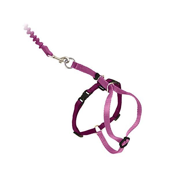 ■システム反映の都合上、ご購入後でも品切れになっている場合があります。その場合、ご登録のメールアドレスに通知致します。必ずご確認をお願いします。■サイズ・カラー等の記載が無い場合や複数記載がある場合があります。ご不明点は、ご購入前にご質問く...