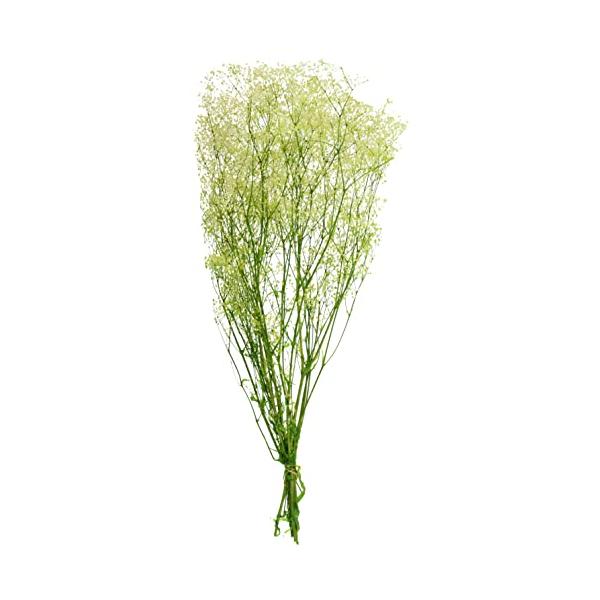 ■システム反映の都合上、ご購入後でも品切れになっている場合があります。その場合、ご登録のメールアドレスに通知致します。必ずご確認をお願いします。■サイズ・カラー等の記載が無い場合や複数記載がある場合があります。ご不明点は、ご購入前にご質問く...