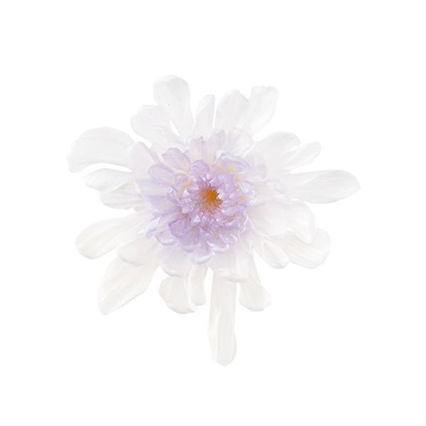 ■システム反映の都合上、ご購入後でも品切れになっている場合があります。その場合、ご登録のメールアドレスに通知致します。必ずご確認をお願いします。■サイズ・カラー等の記載が無い場合や複数記載がある場合があります。ご不明点は、ご購入前にご質問く...