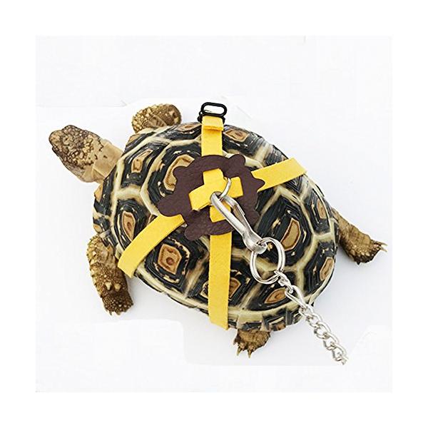 ■システム反映の都合上、ご購入後でも品切れになっている場合があります。その場合、ご登録のメールアドレスに通知致します。必ずご確認をお願いします。■サイズ・カラー等の記載が無い場合や複数記載がある場合があります。ご不明点は、ご購入前にご質問く...