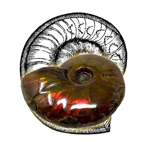 ■システム反映の都合上、ご購入後でも品切れになっている場合があります。その場合、ご登録のメールアドレスに通知致します。必ずご確認をお願いします。■サイズ・カラー等の記載が無い場合や複数記載がある場合があります。ご不明点は、ご購入前にご質問く...