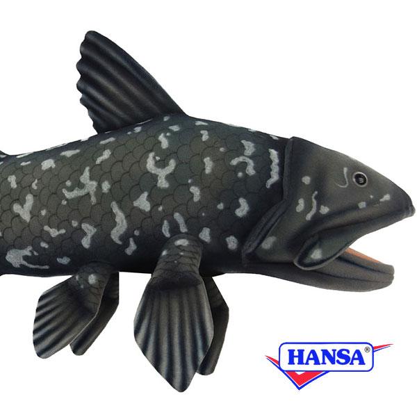 ●hansa社が制作したEXTINCT（絶滅種・絶滅危惧種 ）シリーズのリアルな深海魚、シーラカンス（生きた化石）のぬいぐるみです。HANSA（ハンサ）のヌイグルミは野生動物や海洋生物、恐竜にいたるまでありとあらゆる生き物をリアルに再現。１...