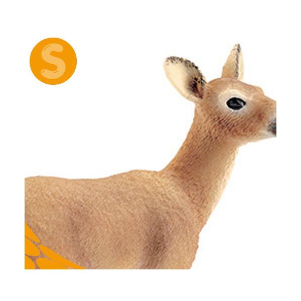 ●ドイツのシュライヒ社が制作した野生動物シリーズのオジロジカの雌（鹿のメス シカ White tailed doe）のフィギアです。アフリカのジャングル、砂漠、草原や世界中の森林、海、そして南極などに生息する野生の動物たちを細部まで精巧に再...