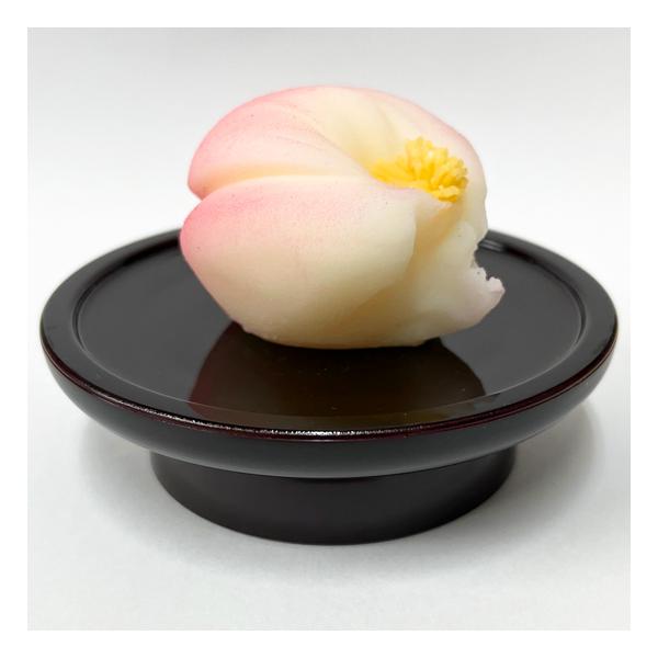 ●食品サンプル 和菓子 ツボミは、本物のお菓子の様な質感のイミテーション菓子 蕾の見本です。大好きなお菓子を部屋のインテリアとして飾ったり、店舗や展示場などのディスプレイとしてお使いいただけます。※食べることはできません※画像の中の小皿は付...