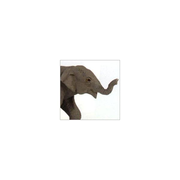 ●アメリカのSafari社が製作した陸上動物たちのフィギアです。 動物園などで見られる様々な動物たちをリアルに再現したレプリカは種類も豊富なので、思わずコレクションしたくなる 逸品です。 アジアゾウ について *分類：哺乳類 長鼻目 ゾウ科...