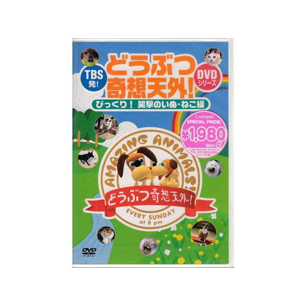 ■タイトル：TBS発！どうぶつ奇想天外！DVDシリーズ びっくり！笑撃のいぬ・ねこ編■監督：■出演者：久保田智子（ナレーション）■JANコード：4571174010974■受賞：
