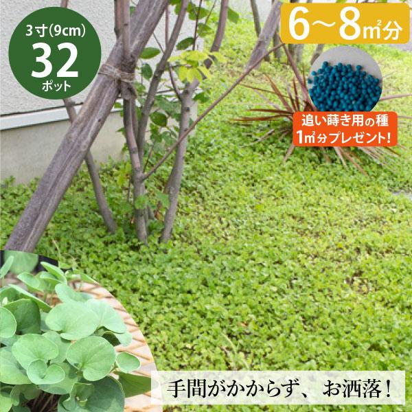 【発売日：2020年09月14日】※原則としてご注文から24時間以内に受諾メールと発送予定日をご案内します。24時間以内にメールが届かない場合は問合せフォームからご連絡ください。※写真はイメージです。生育状況、季節などにより異なる場合がござ...