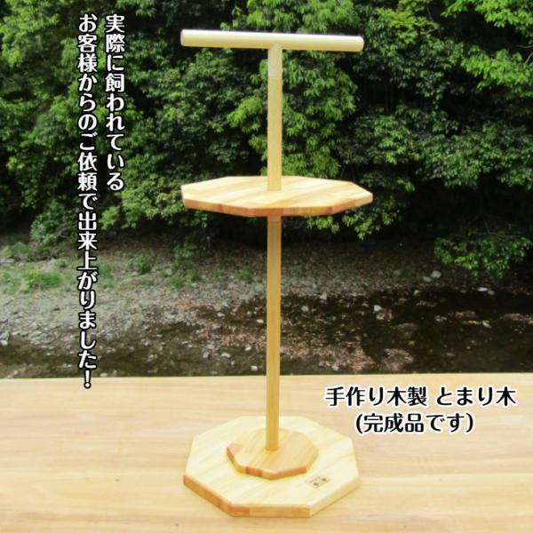 全高1mの間で5cm単位で低くするのも可能です！ご相談くださいね！中央の糞受けまでが、止まり木部分から、約３００ｍｍ空いています。全高は、基本約1mです。ただし全高1mの間で5cm単位でお受けしておりますので、ご希望の方は、ご注文時に必ず備...