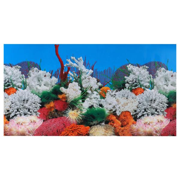 【本商品は海外出荷】お届けは通常20-30日を頂いております。水槽を美しく: 水槽に合わせて背景を簡単にトリミングし、水槽に本物のような効果をもたらします。素材: 水族館ポスターは厚みのあるPVCで作られており、防水性があり、光沢がなく、耐...