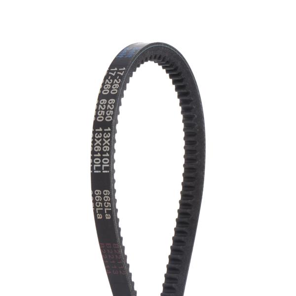 【本商品は海外出荷】お届けは通常20-30日を頂いております。サイズー内部長さ: 610mm; 外部長さ: 665mm; ピッチ長さ: 655mm;トップ幅: 12.7mm; 厚さ: 9.5mmラバー製ベルト-弾性コードはポリエチレン製で、...