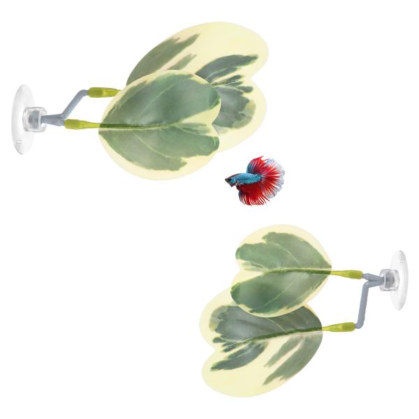 【本商品は海外出荷】お届けは通常20-30日を頂いております。【多用途】 - これらの水槽アクセサリーは、ベタに快適な休息場所を提供するだけでなく、水槽の装飾として、ペットの魚のための美しい住まいを作るのにも役立ちます。さらに、独特なデザイ...