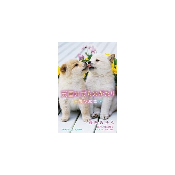 ■商品コンディション：Ｂ:良好■特記事項：なしSKU J0411B211215-042天国の犬ものがたり~僕の魔法~ (小学館ジュニア文庫) 藤咲 あゆな(著) 堀田 敦子(著) 環方 このみ(Unknown)/小学館新書 191 ページ/...