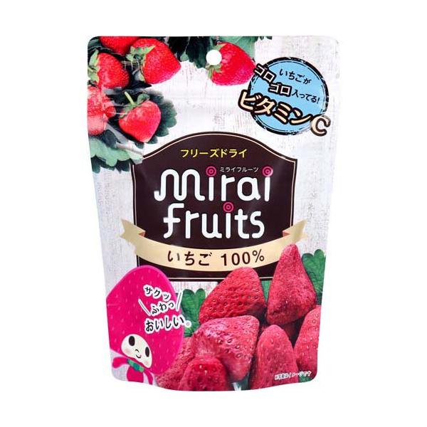 ミライフルーツ いちご/ベビーフード 10ヶ月/【発売元、製造元、輸入元又は販売元】株式会社ビタットジャパン/【ミライフルーツ いちごの商品詳細】●サクッ ふわっ おいしい♪●「いちご」を100%使用 ！●大地と太陽の恵みをギュッ。●果実の...
