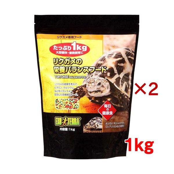 エキゾテラ リクガメの栄養バランスフード/小動物・鳥・は虫類・昆虫/ブランド：エキゾテラ/【発売元、製造元、輸入元又は販売元】GEX(ジェックス)/・単品JAN：4972547026958/【エキゾテラ リクガメの栄養バランスフードの商品詳...