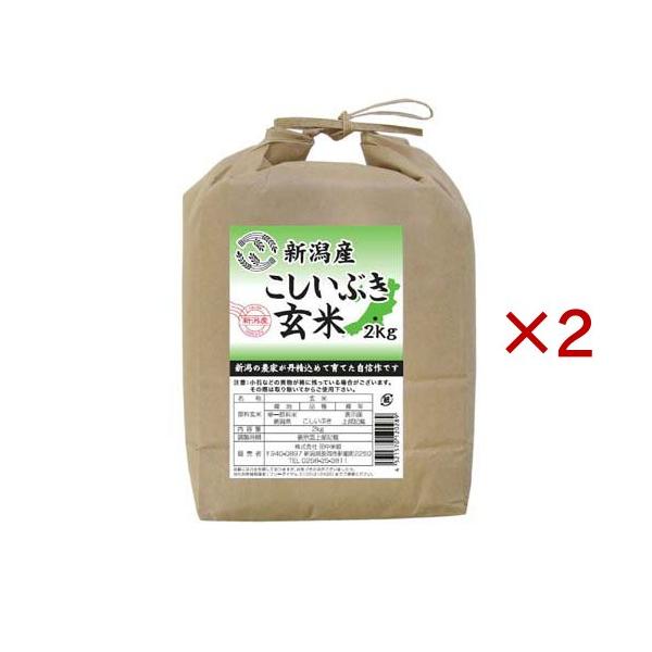8年産 新潟産こしいぶき玄米/米・穀類/【発売元、製造元、輸入元又は販売元】田中米穀/・単品JAN：4521570120289/【8年産 新潟産こしいぶき玄米の商品詳細】●「コシヒカリ」を親に持つ「ひとめぼれ」と「どまんなか」をかけ合わせて...