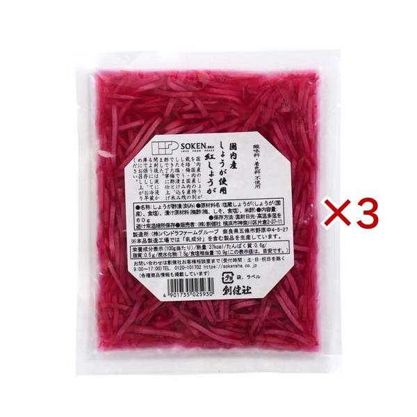 国内産しょうが使用 紅しょうが 細切/調味料/【発売元、製造元、輸入元又は販売元】創健社/・単品JAN：4901735025930/【国内産しょうが使用 紅しょうが 細切の商品詳細】●国産しょうがを、国産特別栽培の梅、国産しそ、うまみを残し...