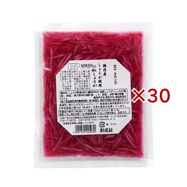 国内産しょうが使用 紅しょうが 細切/調味料/【発売元、製造元、輸入元又は販売元】創健社/・単品JAN：4901735025930/【国内産しょうが使用 紅しょうが 細切の商品詳細】●国産しょうがを、国産特別栽培の梅、国産しそ、うまみを残し...
