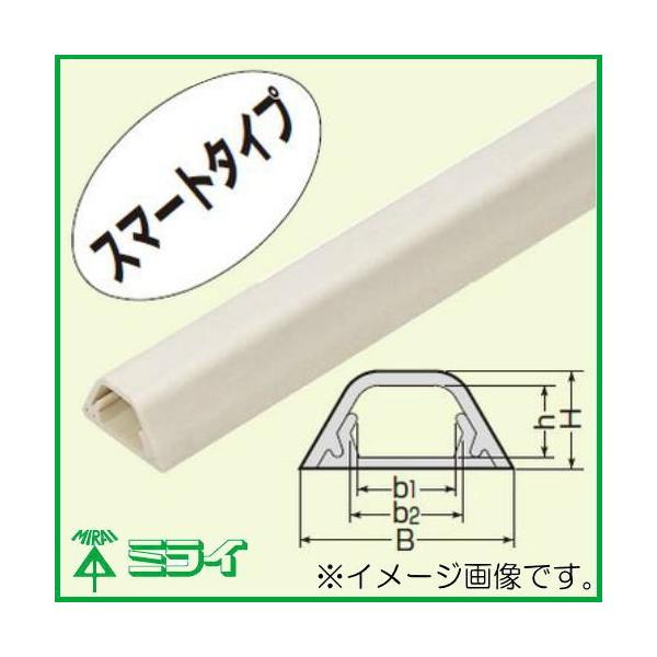 デンコープロテクタ(スマートタイプ)耐衝撃性に優れ、屋内配線の保護、特に床配線の保護に最適です。基台には釘穴が設けてあり、釘打ちがラクにできます。全長：1m規格：5号サイズ：33.2mm(B)、15.2mm(b1)、18.4mm(b2)、1...