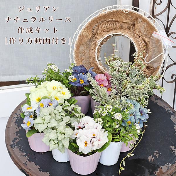 作り方動画付き 季節の花寄せ植え ジュリアン シャビー ナチュラルリース作成キットです。画像の商品はイメージです。＊オプションで「動画付き」を選択された方に、作り方動画QRコードを同梱いたします。ご自宅でゆっくり楽しめる季節の花を使ったリー...
