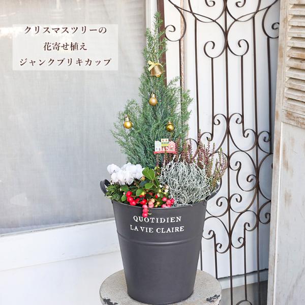 クリスマスツリー 季節の花寄せ植え コニファー シルバースター、チェッカーベリー、シクラメン、カロケファルス プラチーナ、カルーナの寄せ植えです。画像の現品販売、送料無料商品になります。コニファーはクリスマスの飾りを付けて、赤いチェッカーベ...