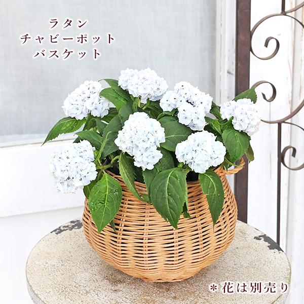 ラタン木製カゴ バスケット チャビーポットです。サイズ（W19.5×D16.5×H13.5cm　素材：ラタン　色：ブラウン）※植物は別売りです。植物ポット(4号ポット)を入れるのに程よいサイズ感のバスケットです。しっかりと編まれたラタンのカ...