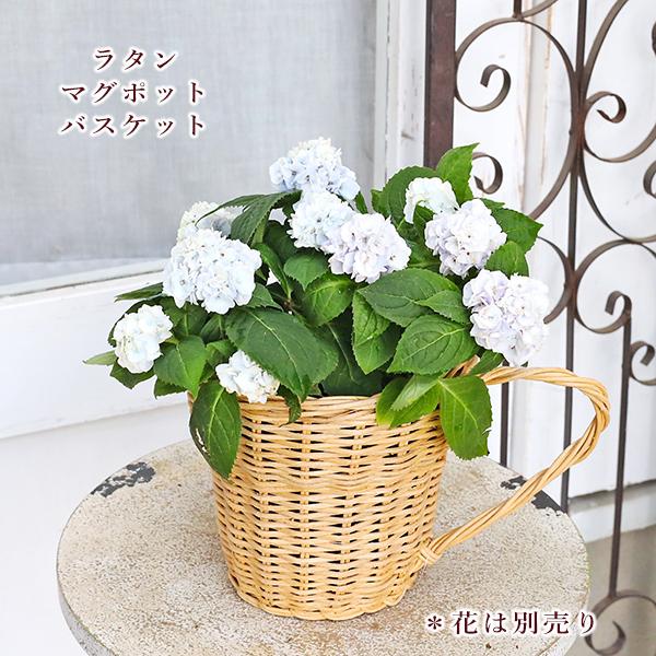 ラタン木製カゴ バスケット マグポットです。サイズ（W21×D15×H14cm　素材：ラタン　色：ブラウン）※植物は別売りです。植物ポット(4号ポット)を入れるのに程よいサイズ感のバスケットです。しっかりと編まれたラタンのカゴです。リビング...
