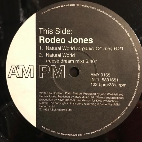 タイトル：Natural World (Kevin Saunderson Remixes)アーティスト：Rodeo Jonesメディア：Very Goodスリーブ：Very Good1993年リリースのハウスクラシック。Kevin Saun...