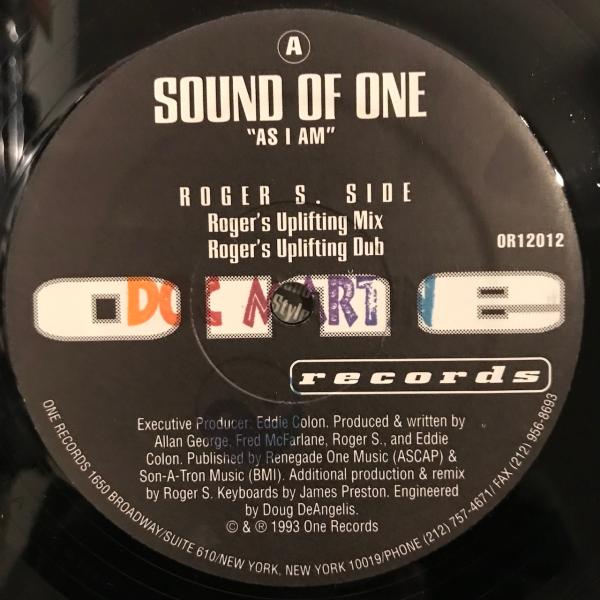 タイトル：As I Amアーティスト：Sound Of Oneメディア：Very Good + レーベルにスタンプあり ※DJ Doc Martinのレコードが売りに出ていたものを仕入れていますスリーブ：Poor1993年リリースの２枚組、...