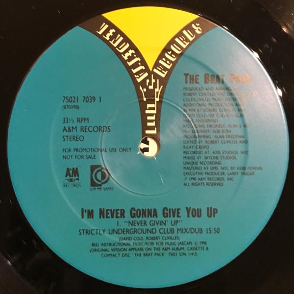 タイトル： I'm Never Gonna Give You Upアーティスト：The Brat Packメディア：VG+スリーブ：VG1990年リリース。Clivill〓s &amp; Coleのプロデュース、約16分のStrictly ...