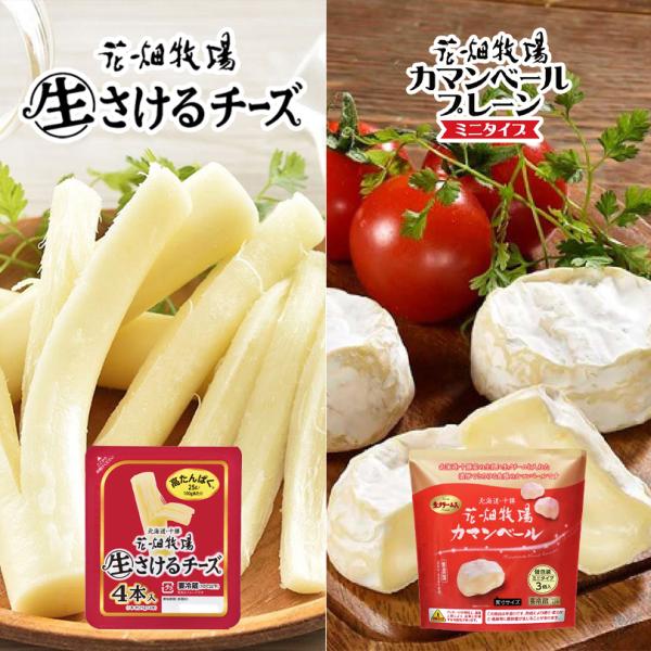 ■カマンベールプレーン〜ミニタイプ〜内容量：1袋(3個入／69g)アレルギー成分：原材料参照原材料：生乳(北海道産)、クリーム(乳成分を含む)、食塩賞味期限：製造日から180日※お届けする商品の賞味期限は160日〜30日の間となります。(商...