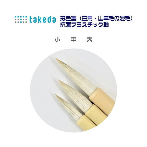 彩色筆 中　全長20ｃｍ1本入り抗菌プラスチック軸日本製 Made in Japan白馬、山羊毛の混毛です。柔らかく色含みが良い便利な筆です。
