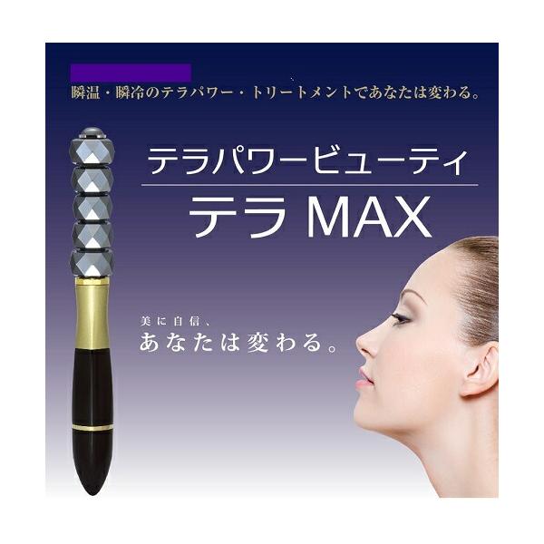 テラＭＡＸ【瞬温・瞬冷のテラパワートリートメントであなたは変わる】美容　エステ　テラタイト　ケイ素結晶　スキンケア　マッサージ　テラローラー　コスメ　ボディケア　送料無料　ダイヤモンドカット　テラヘルツ波 アルミ トルマリン磁石　美顔　美　...