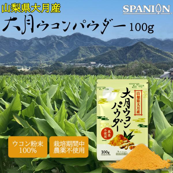 国産(山梨県大月市産)のウコンパウダーです。100％国産原料にこだわりました。栽培期間中農薬不使用、さらに残留農薬を自社で分析、基準合格しているものをお届けします。■ 品質情報 ■商品名　: ウコン粉末内容量　: 100g原材料名: ウコン...